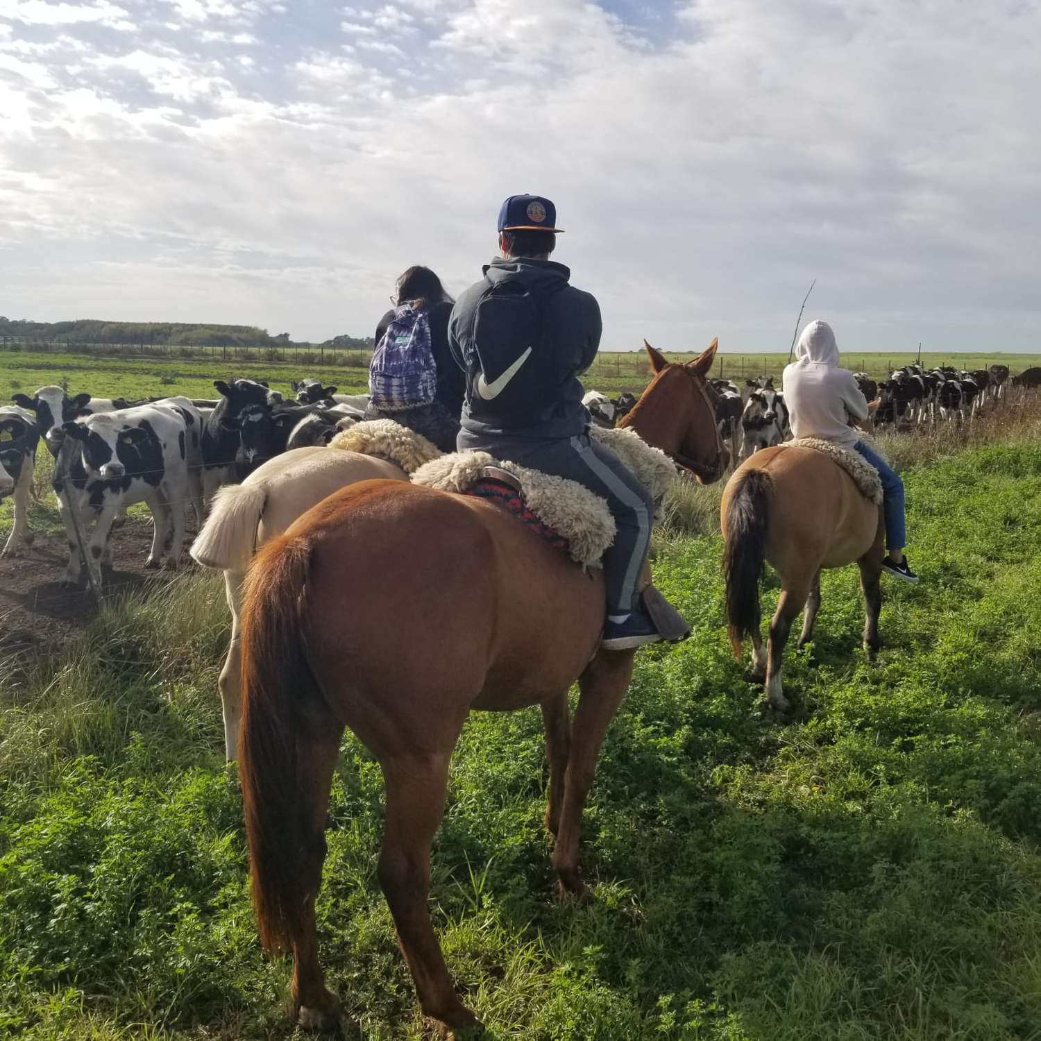 Con reservas que crecen y una variedad de propuestas, el turismo rural ...