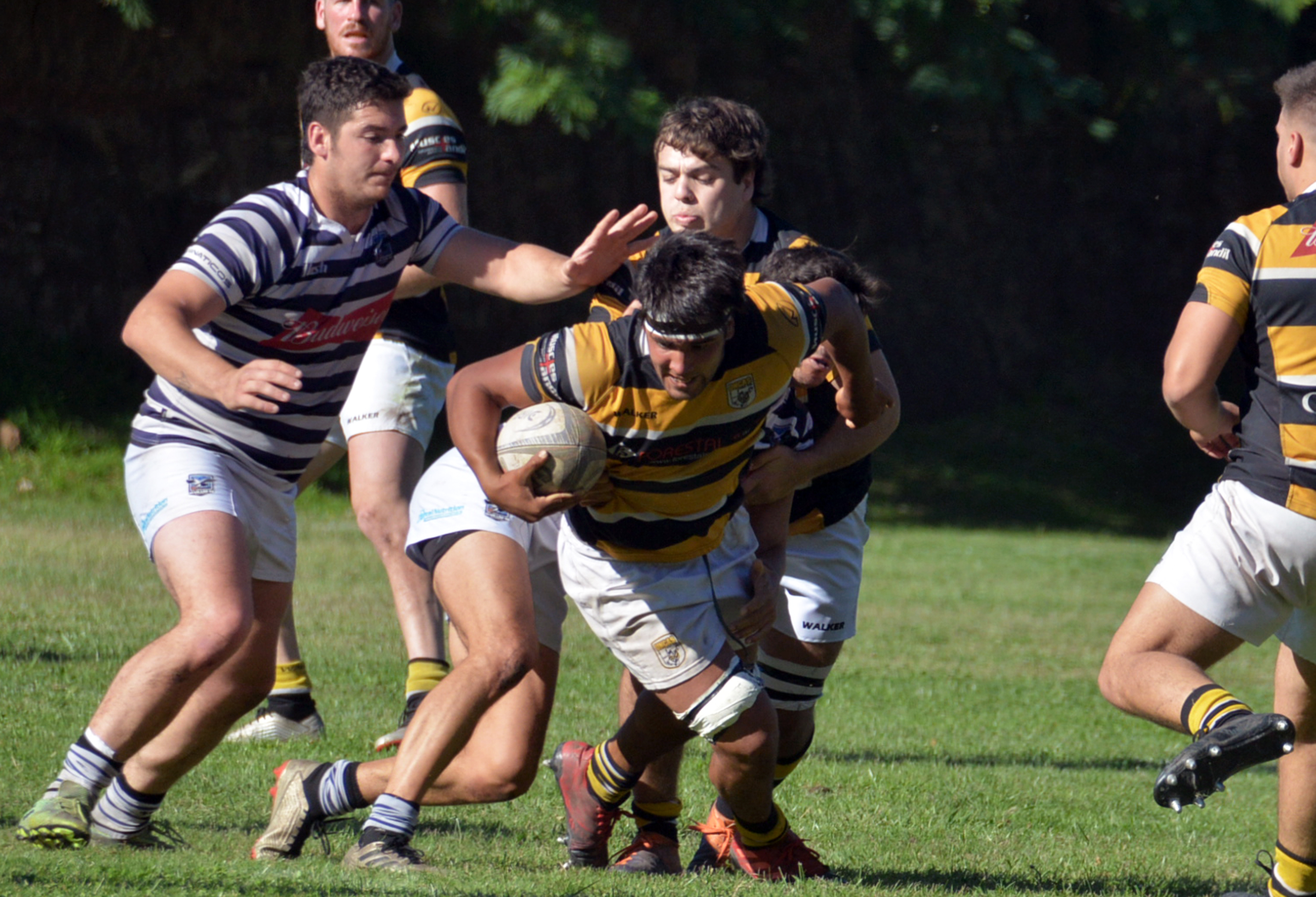 Los 50 y Uncas, frente a frente en La Rural