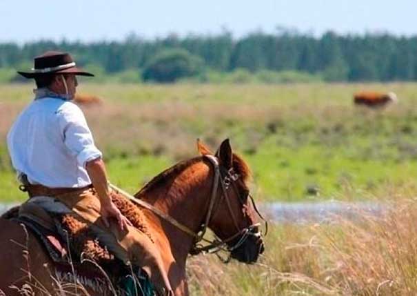 La doma y el amansamiento de caballos: secretos de un oficio emblemático