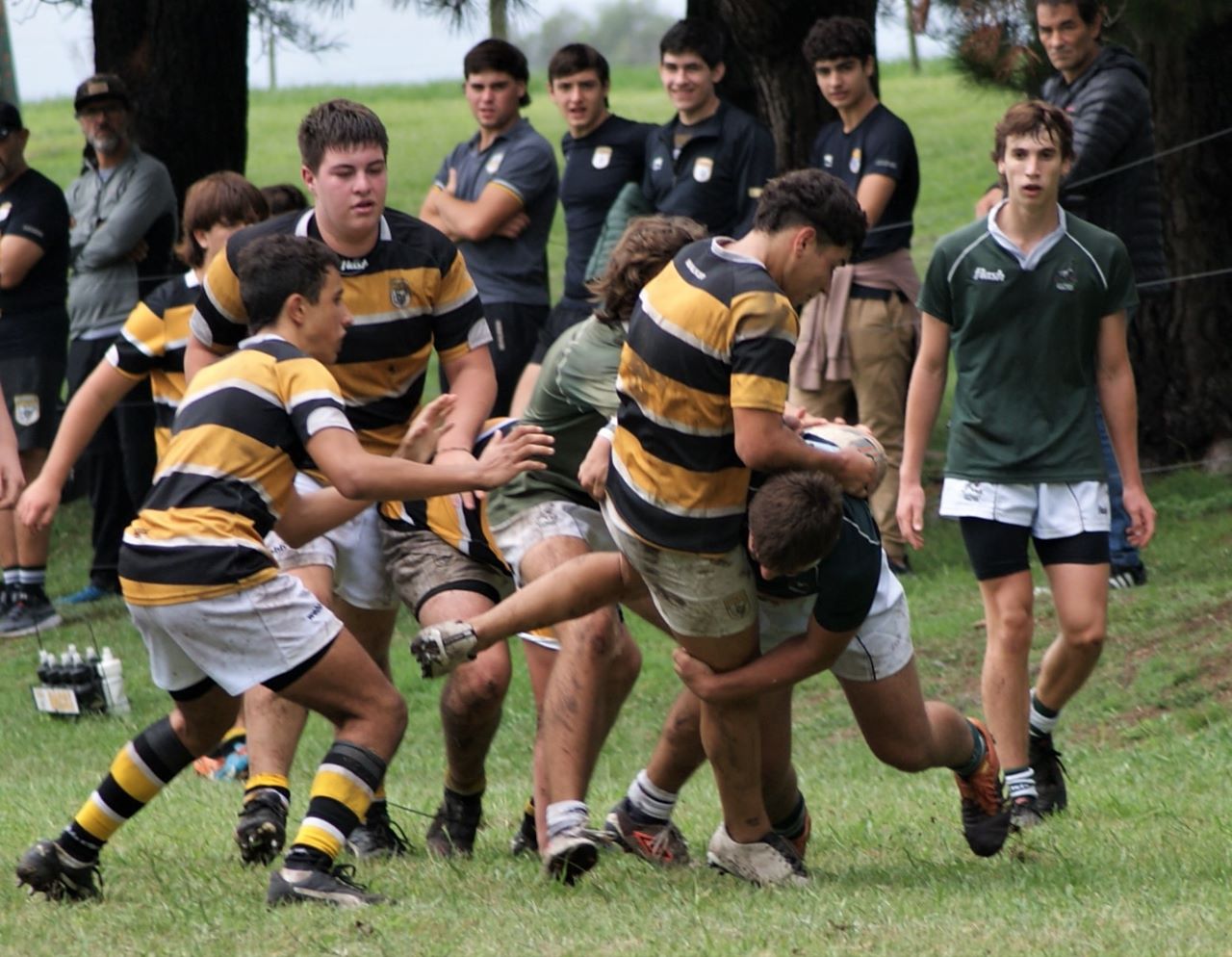 Resultados de la primera fecha del Bloque y M19