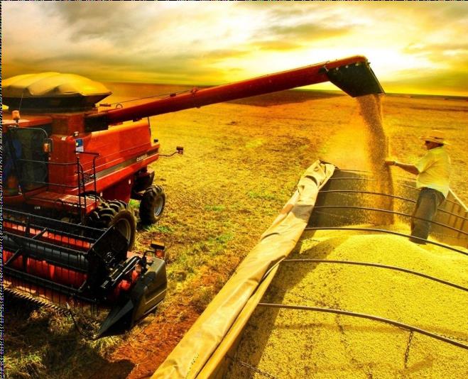 Agro (industria): Un sector de alta performance y grandes obstáculos