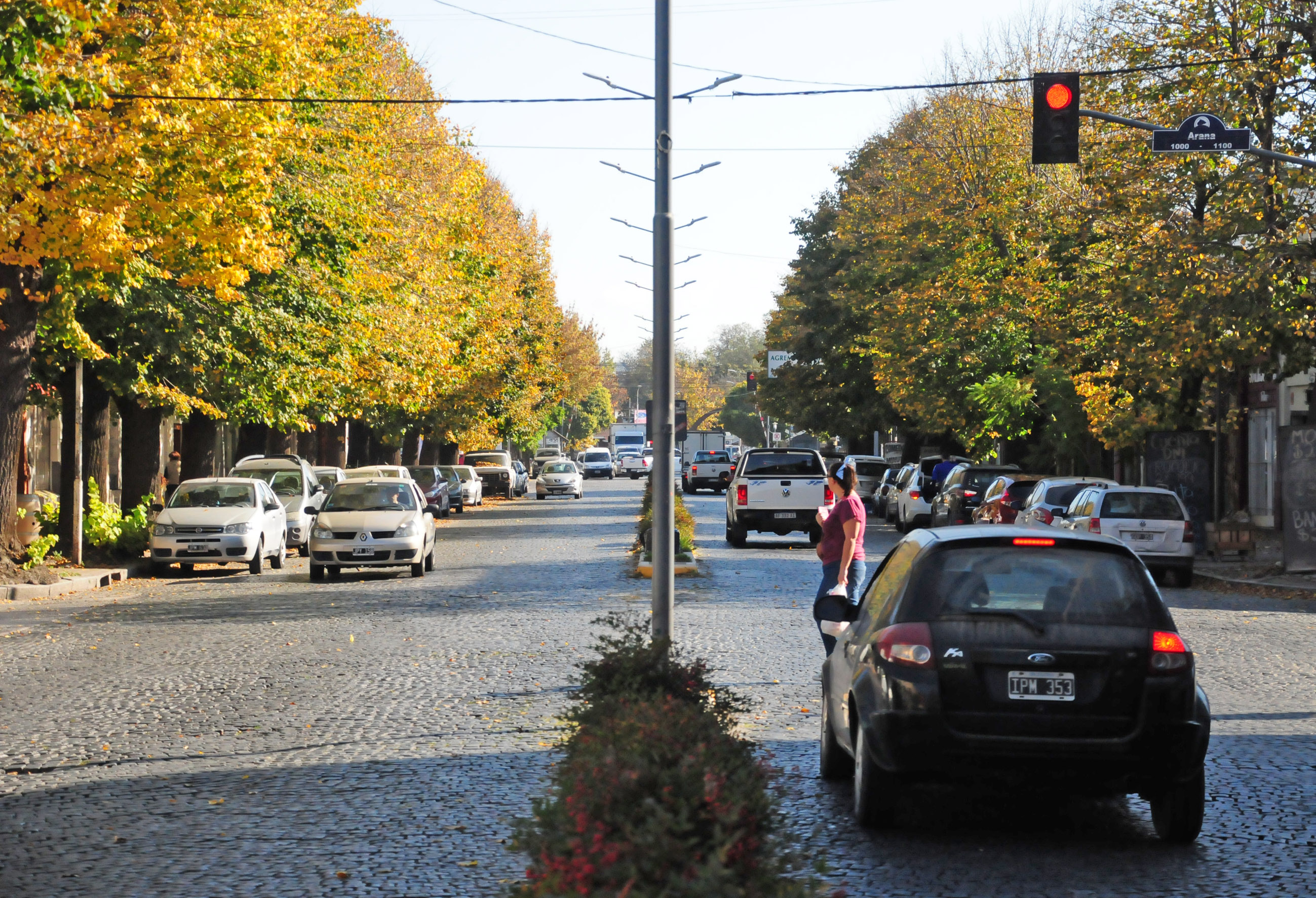 Olor a tilo florecido: por qué pasear por avenida Colón en Tandil es ...