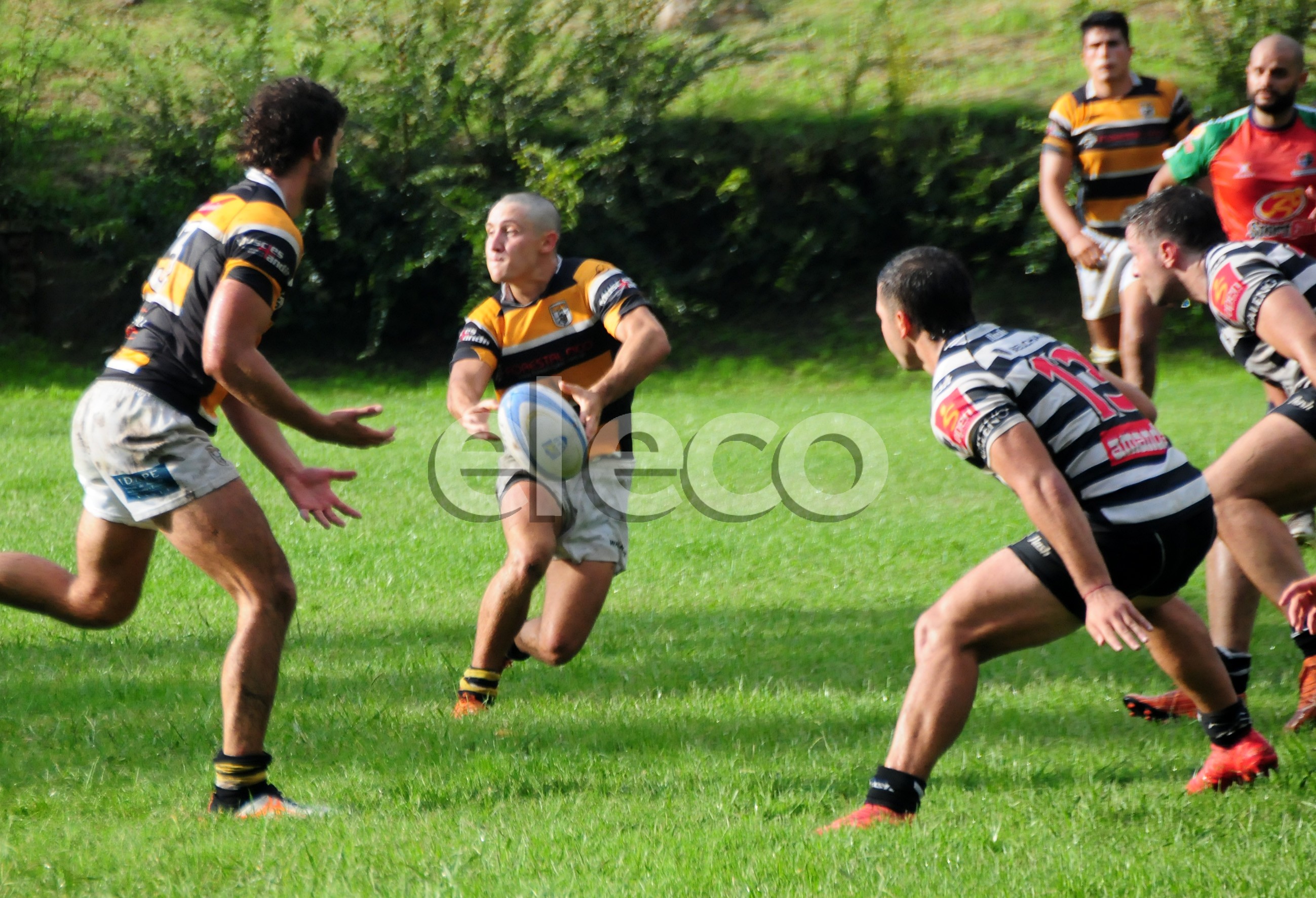 Uncas y Los Cardos se presentan como locales