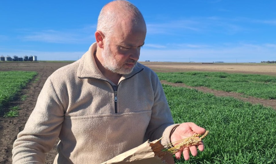 Reconocimiento a la trayectoria de un especialista en el mejoramiento ...