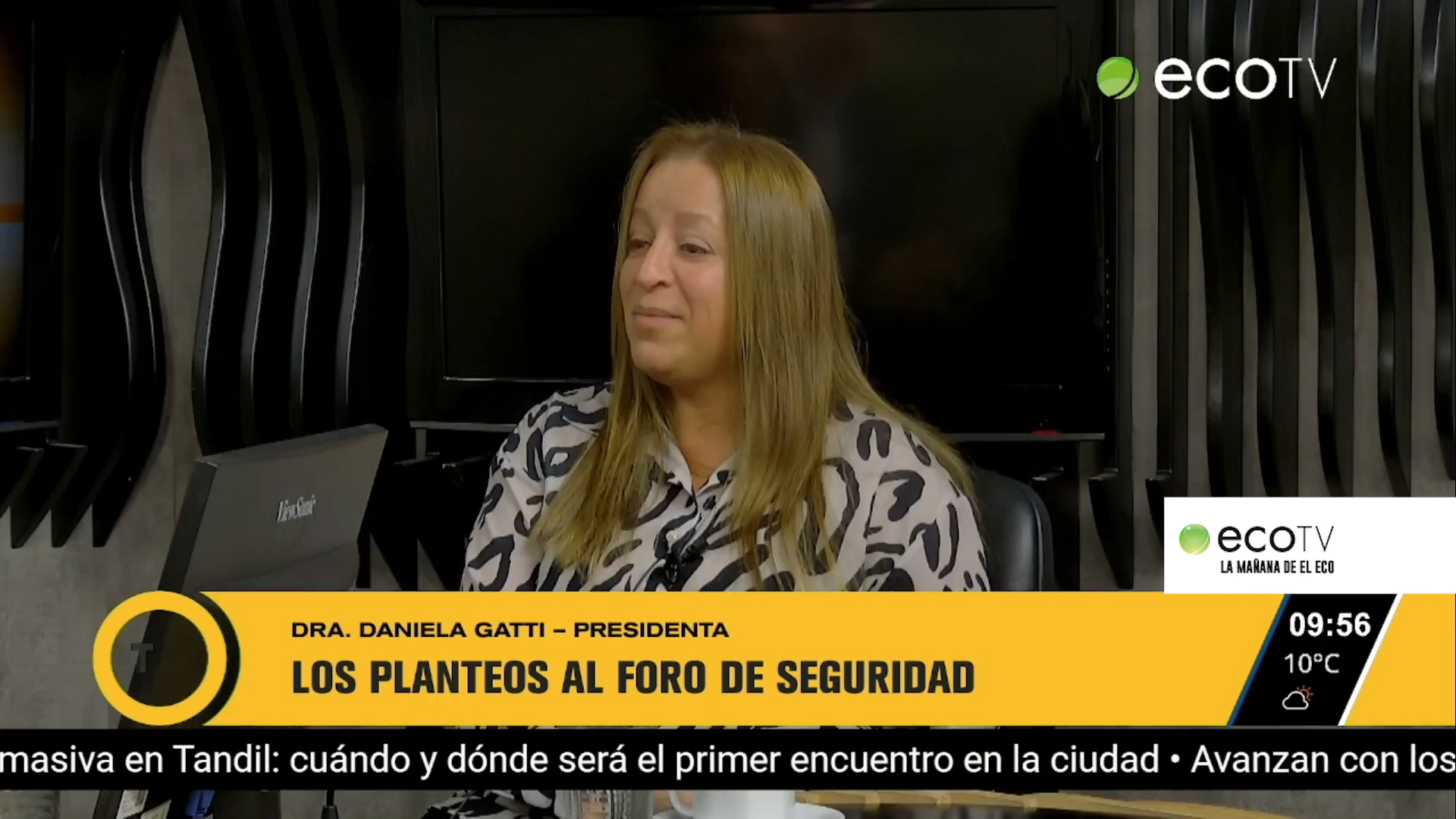 Los planteos del foro de seguridad