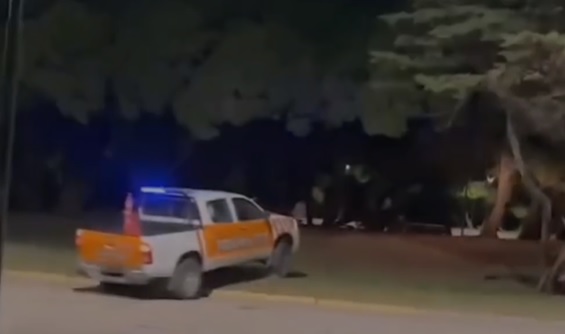 Necochea: impresionante persecución en el Parque Miguel Lillo