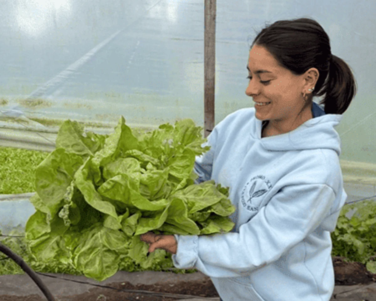 Microorganismos, lechuga y aprendizaje: una experiencia educativa que ...